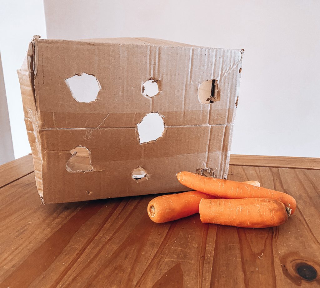 The Carrot Snaffle Game - DIY Happiness Games for Dogs - Bounce and Bella